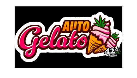 Gelato Auto 3ct + Gorilla Zkittlez Auto 1ct
