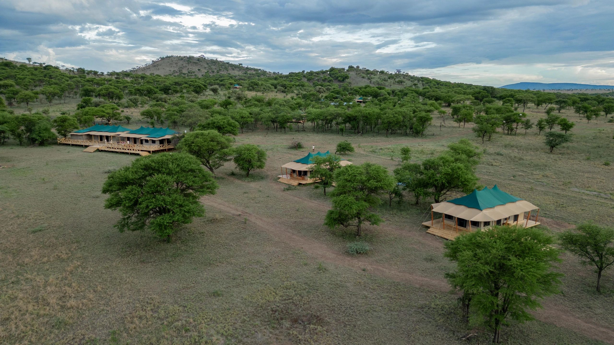 Eco-Friendly Safari Camp in the Serengeti