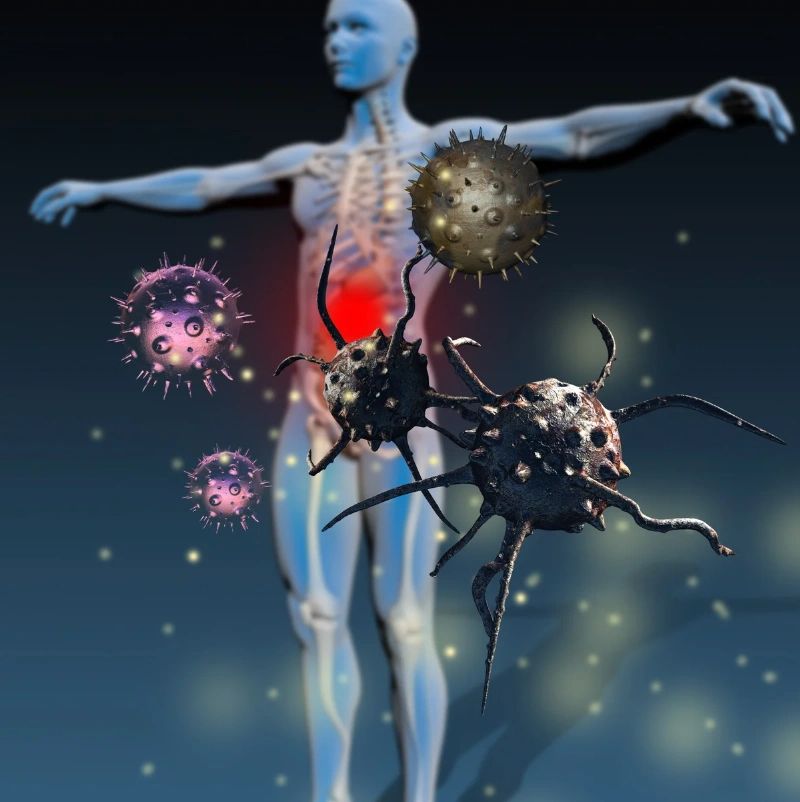 8 Ways to Boost Your Immune System Naturally: A Holistic Approach