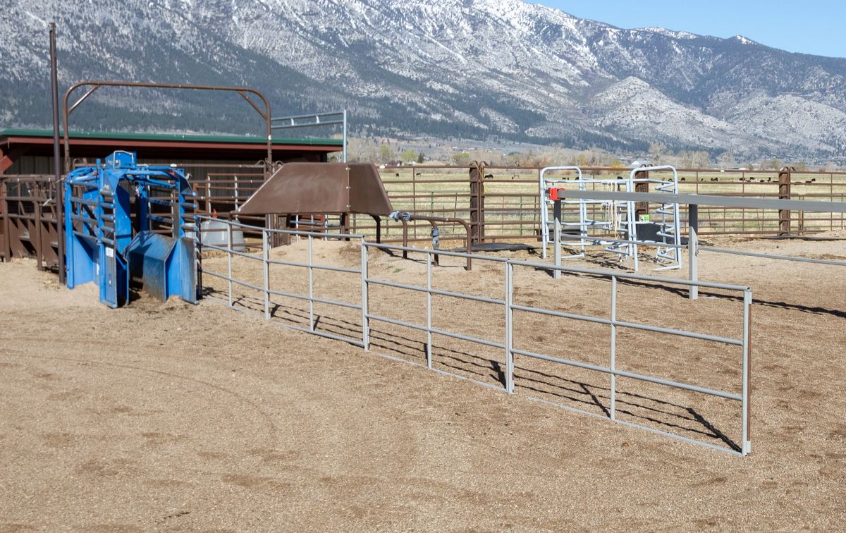 Heel Master Hazer System