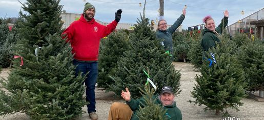 York Woods Tree & Products - Home