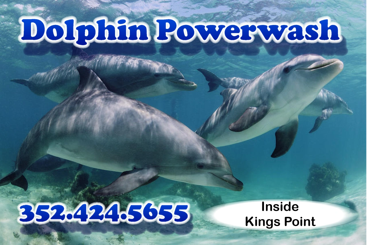 Dolphin Powerwash
