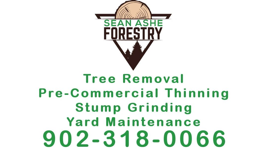 Sean Ashe Forestry Consulting - Tree Removal, Pre-Commercial Thinning ...