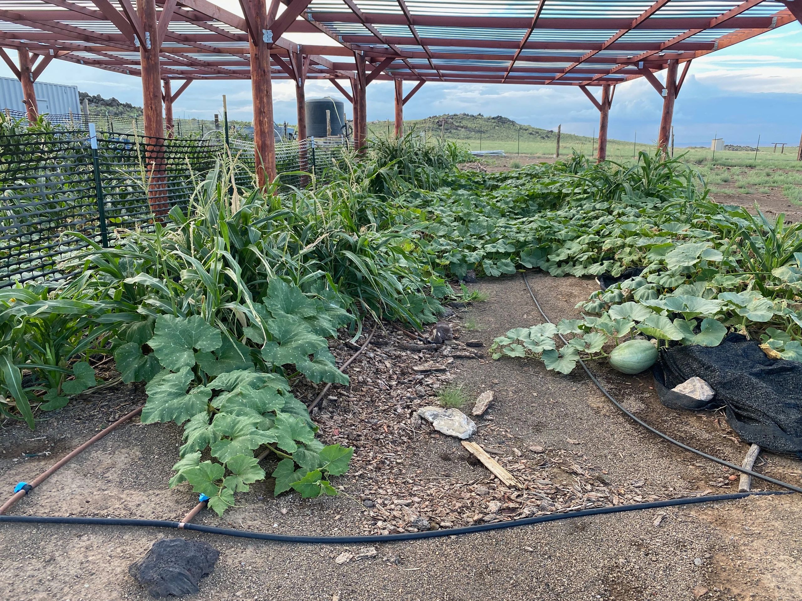 Gallery | Sunset Gardens