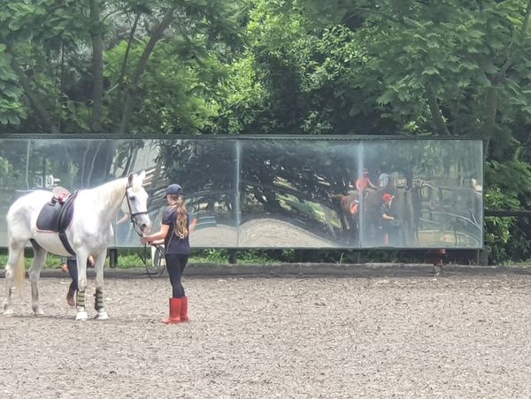 Riverside Equestrian Centre