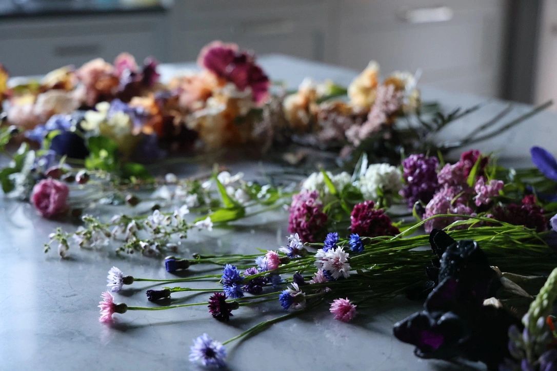 The Backyard Flower Lab