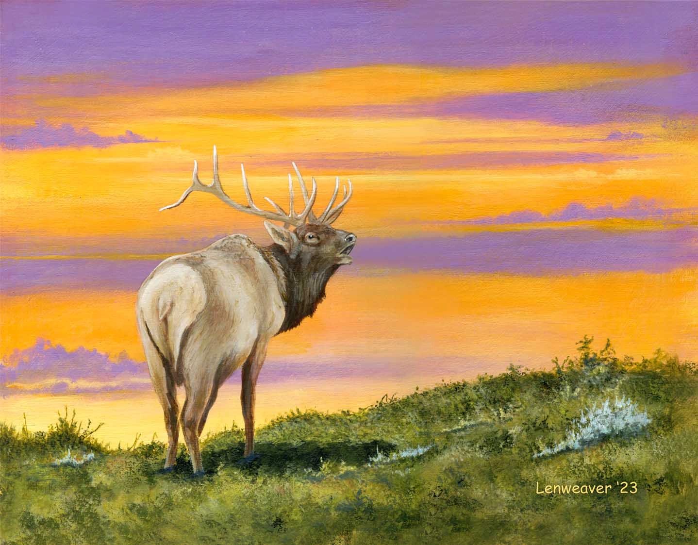 Bird Art - Bird Prints, Bird Artwork, Wildlife Prints