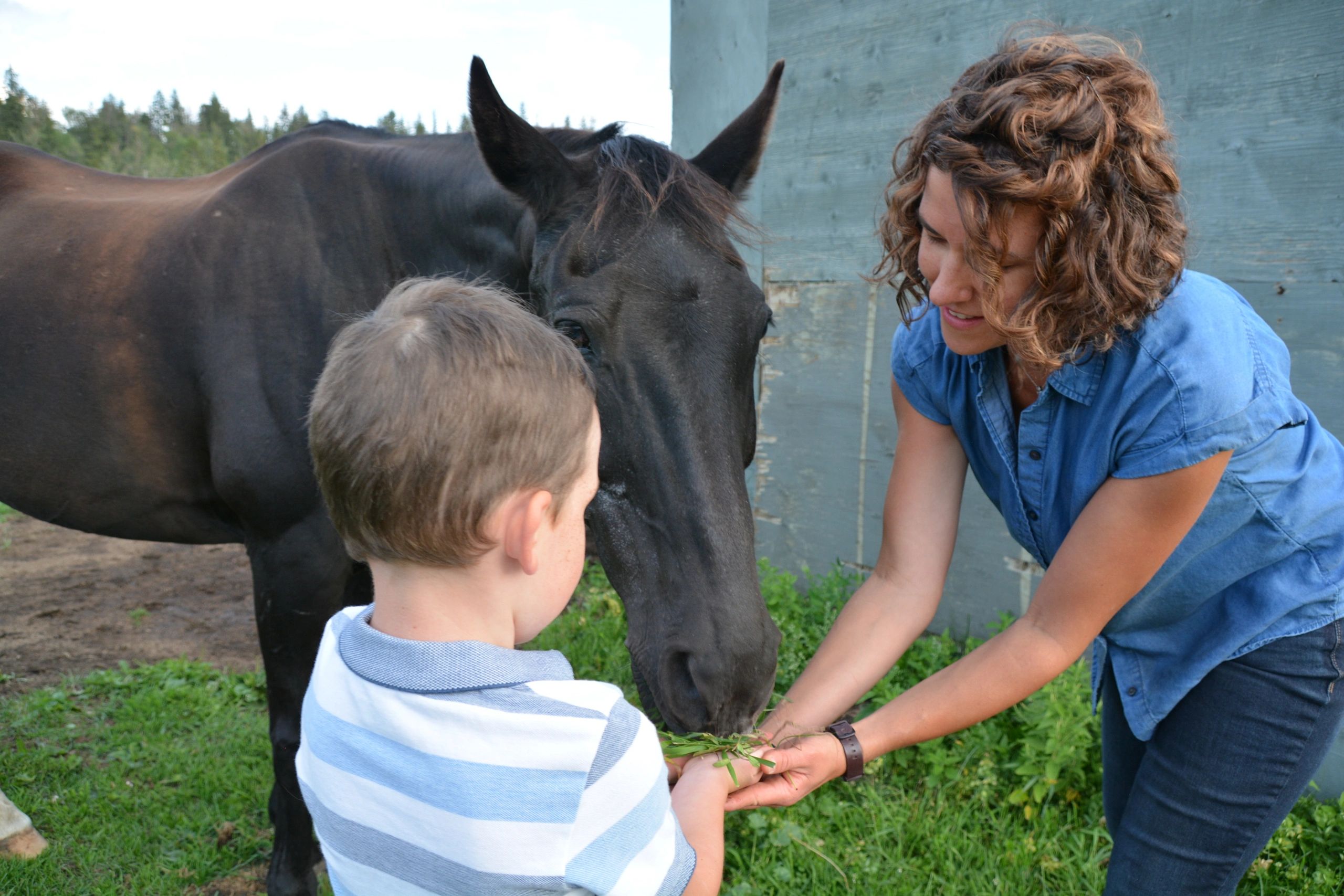 Transform Your Life with Equine and Nature-Assisted Therapy