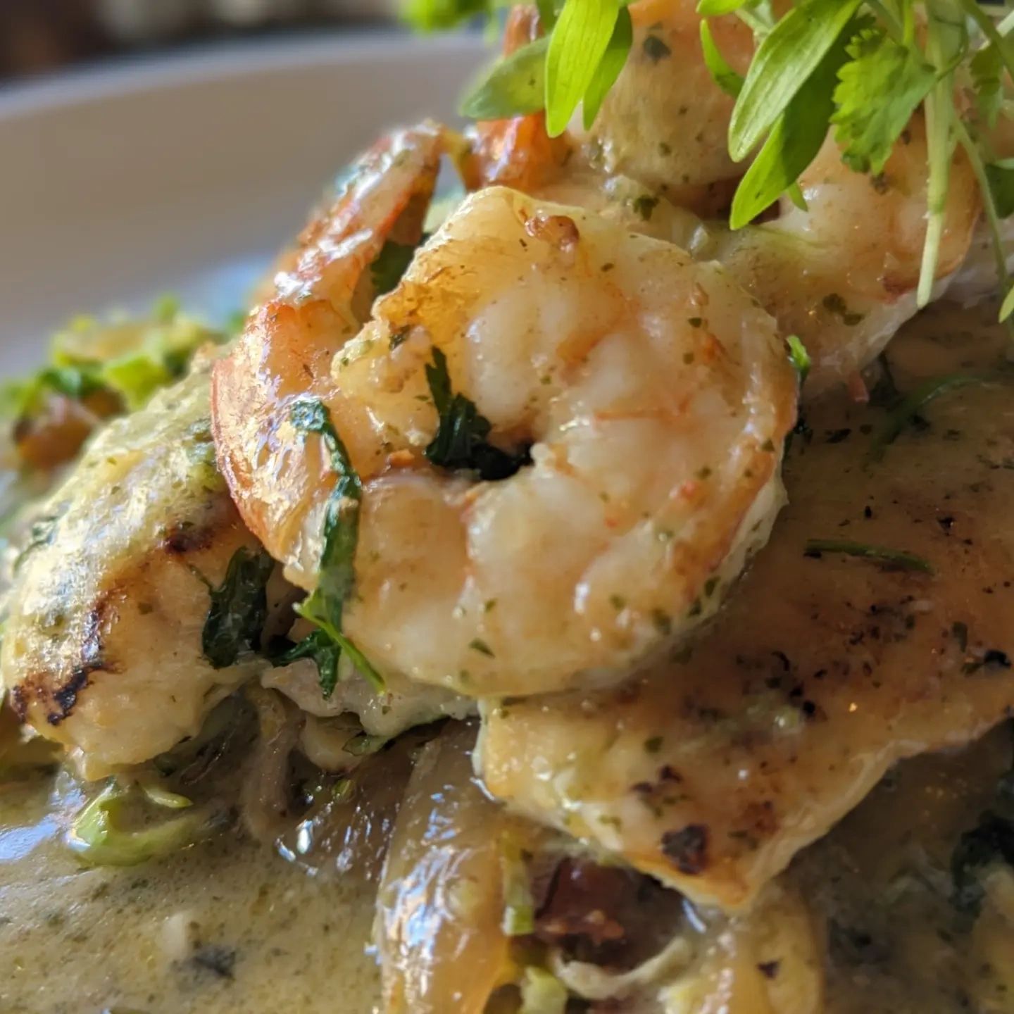 Fin Rawbar and Kitchen Summit - Seafood, Oysters