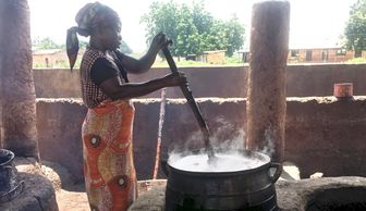 Shea Nuts | Banyangroup.co.in