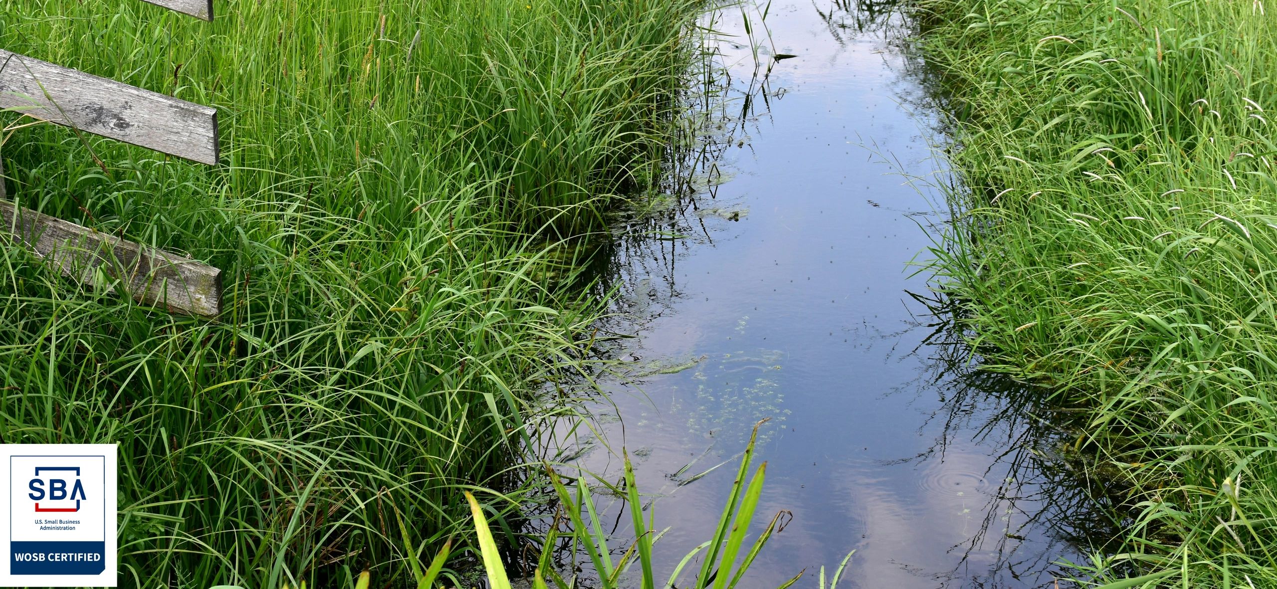 Flood Monitoring and Environmental Impact - Simplicity Integration