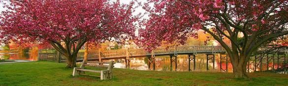 Spring Lake Asset Management