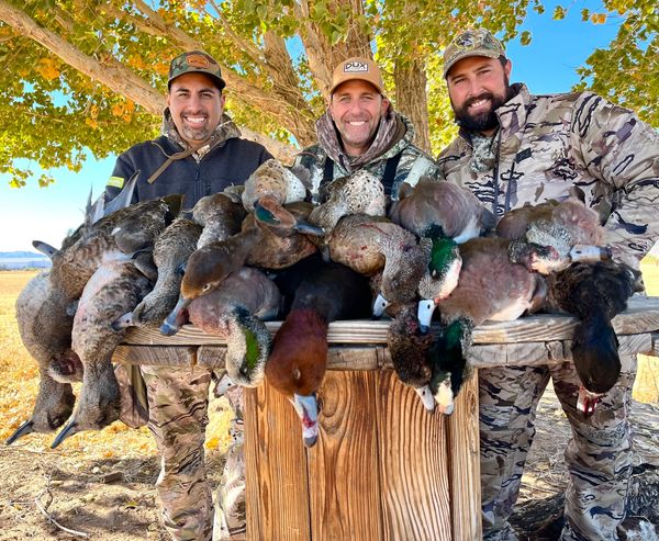 Guided Duck Hunts, Duck Hunting, Waterfowl Hunting - River King ...