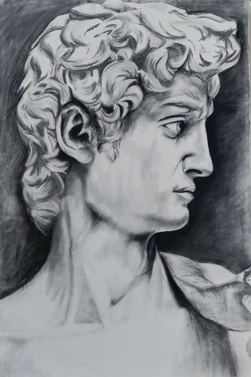 Study of David Original Charcoal Drawing