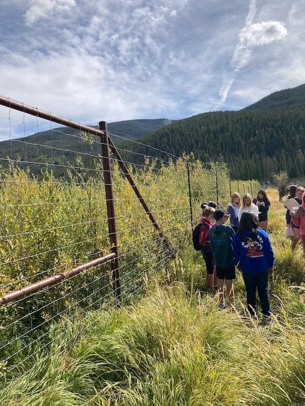 Exclosure Fences, BDAs, Low-Tech Process Based Stream Restoration