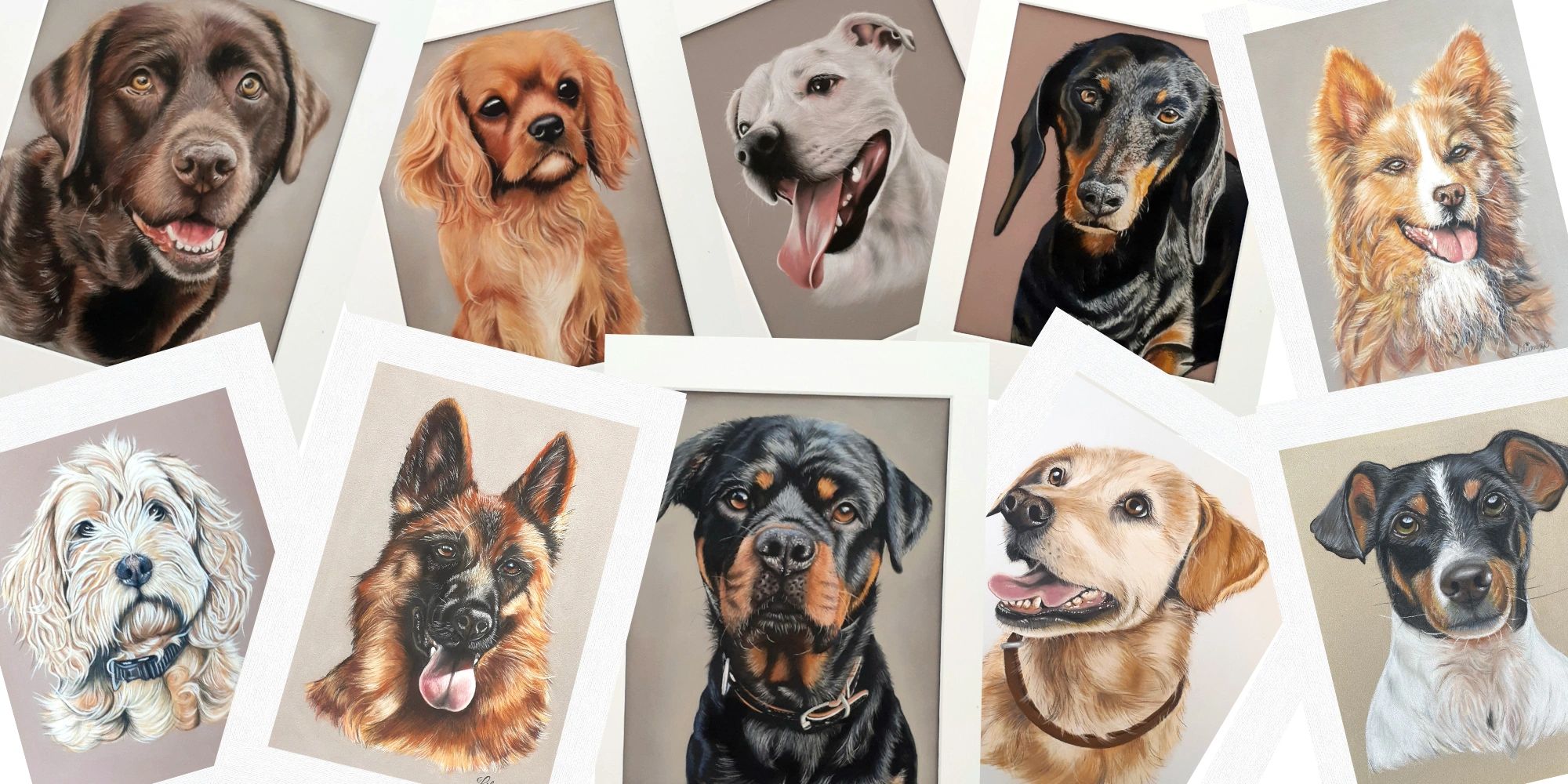 Pet Portraits Art Studio