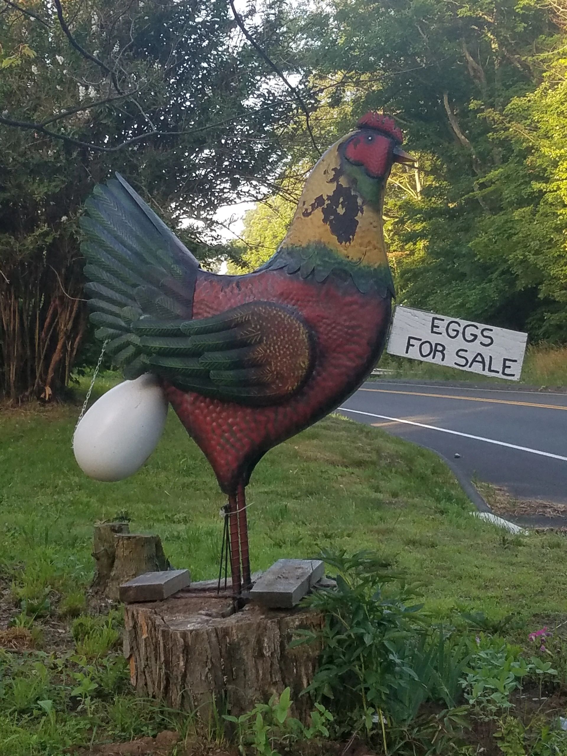 land mark road sign and familiar sights