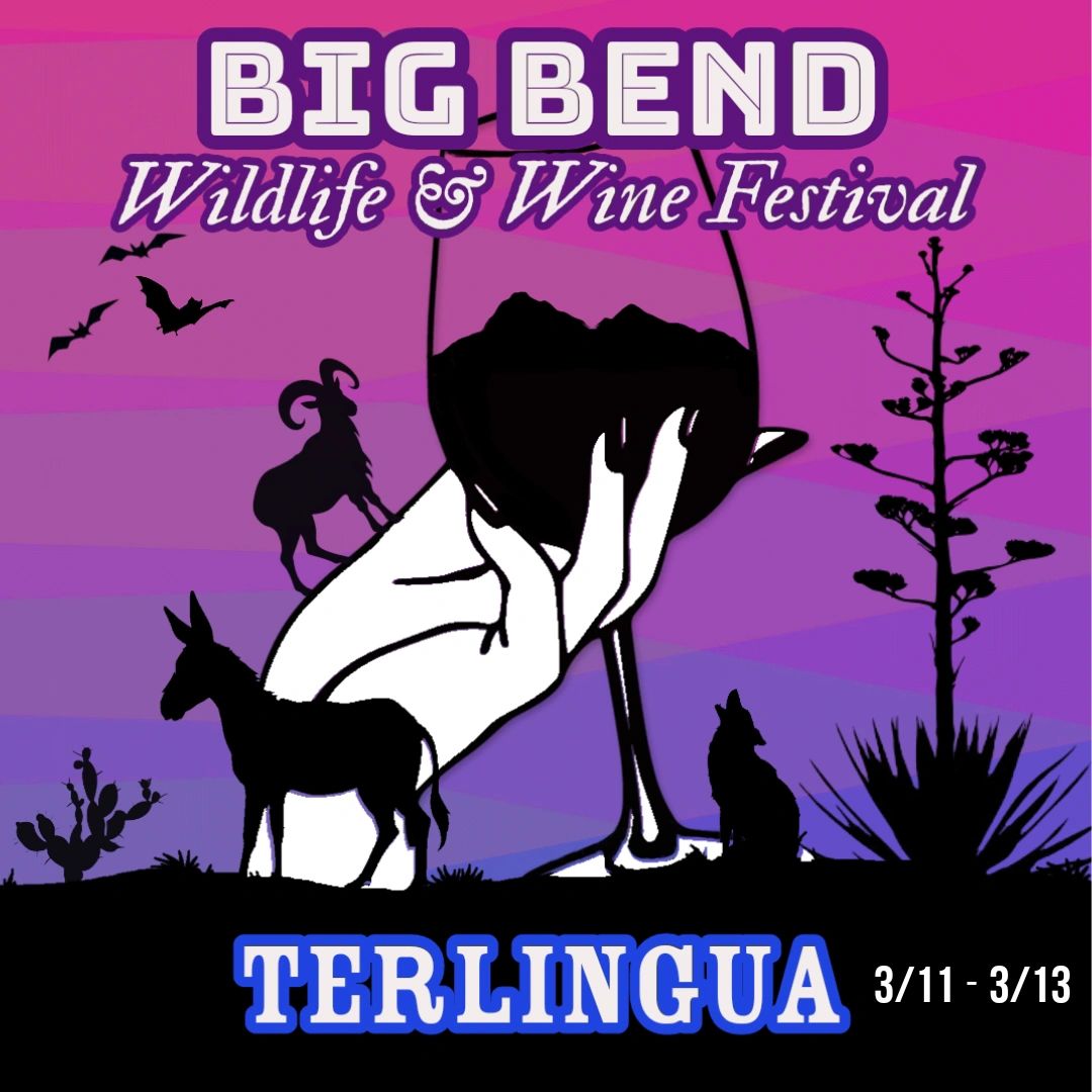 Big Bend Spring Break