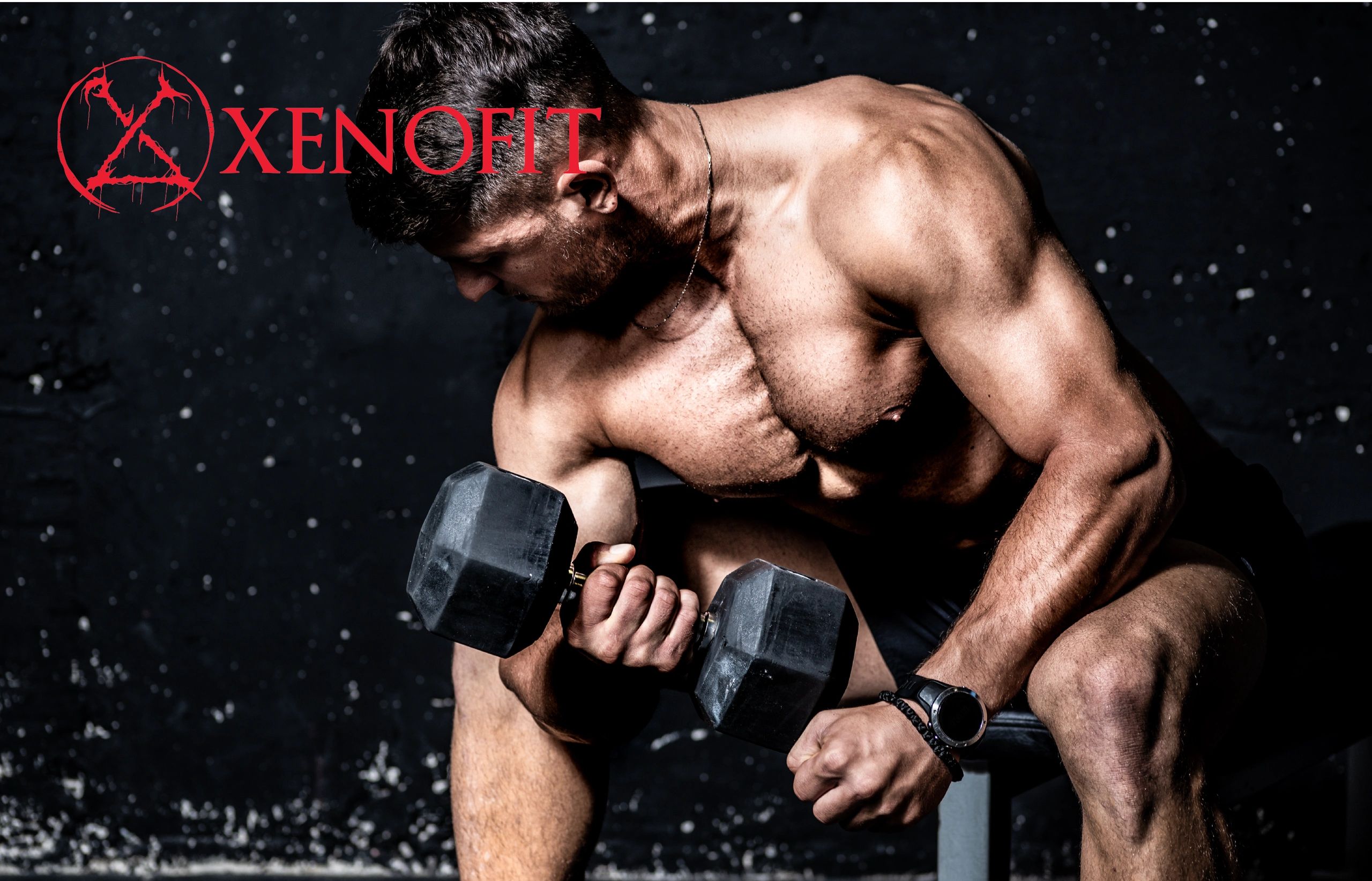 What Rep Ranges are Optimal for Bodybuilding?