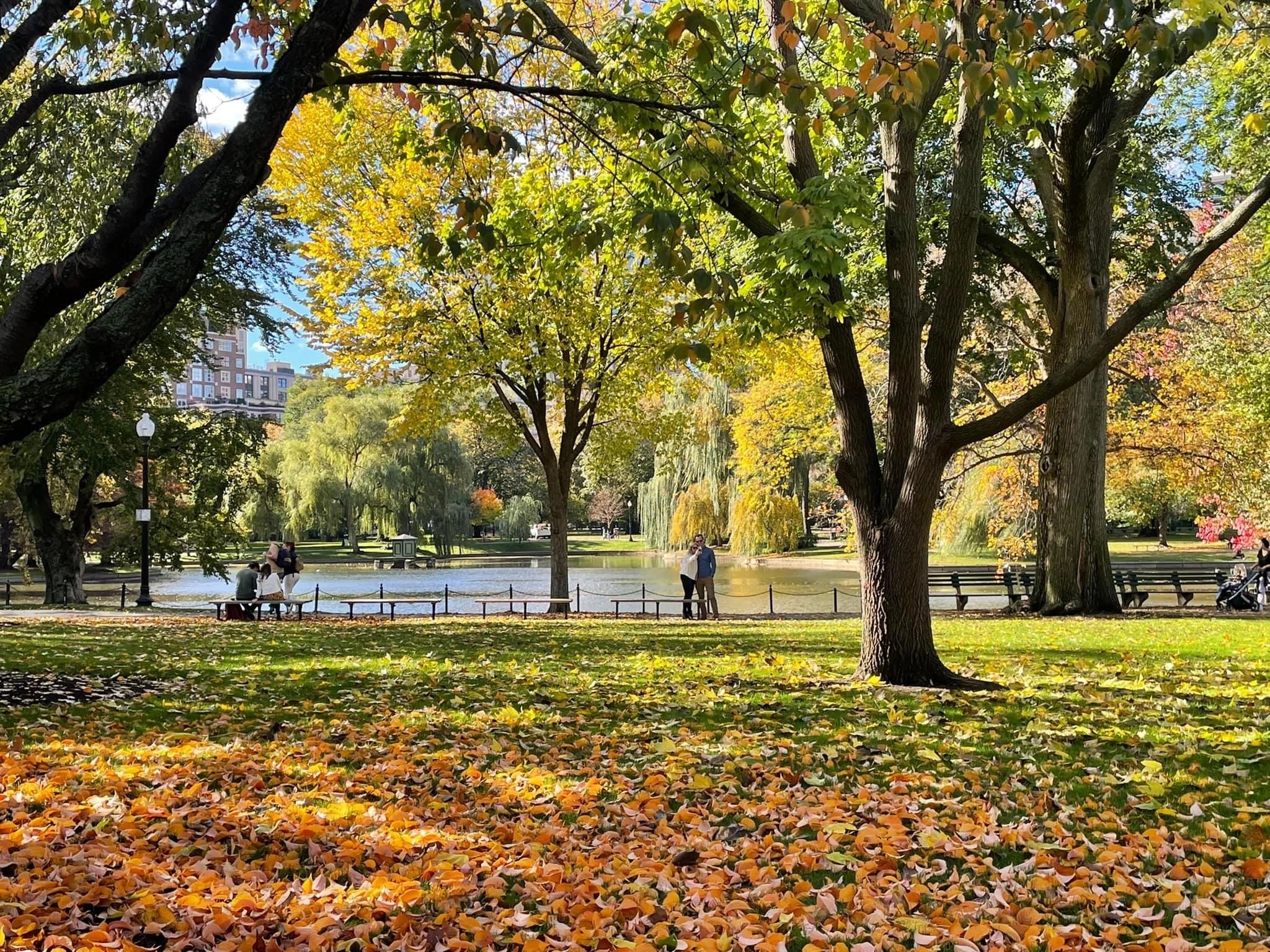 News & Interviews - Rick Ollie