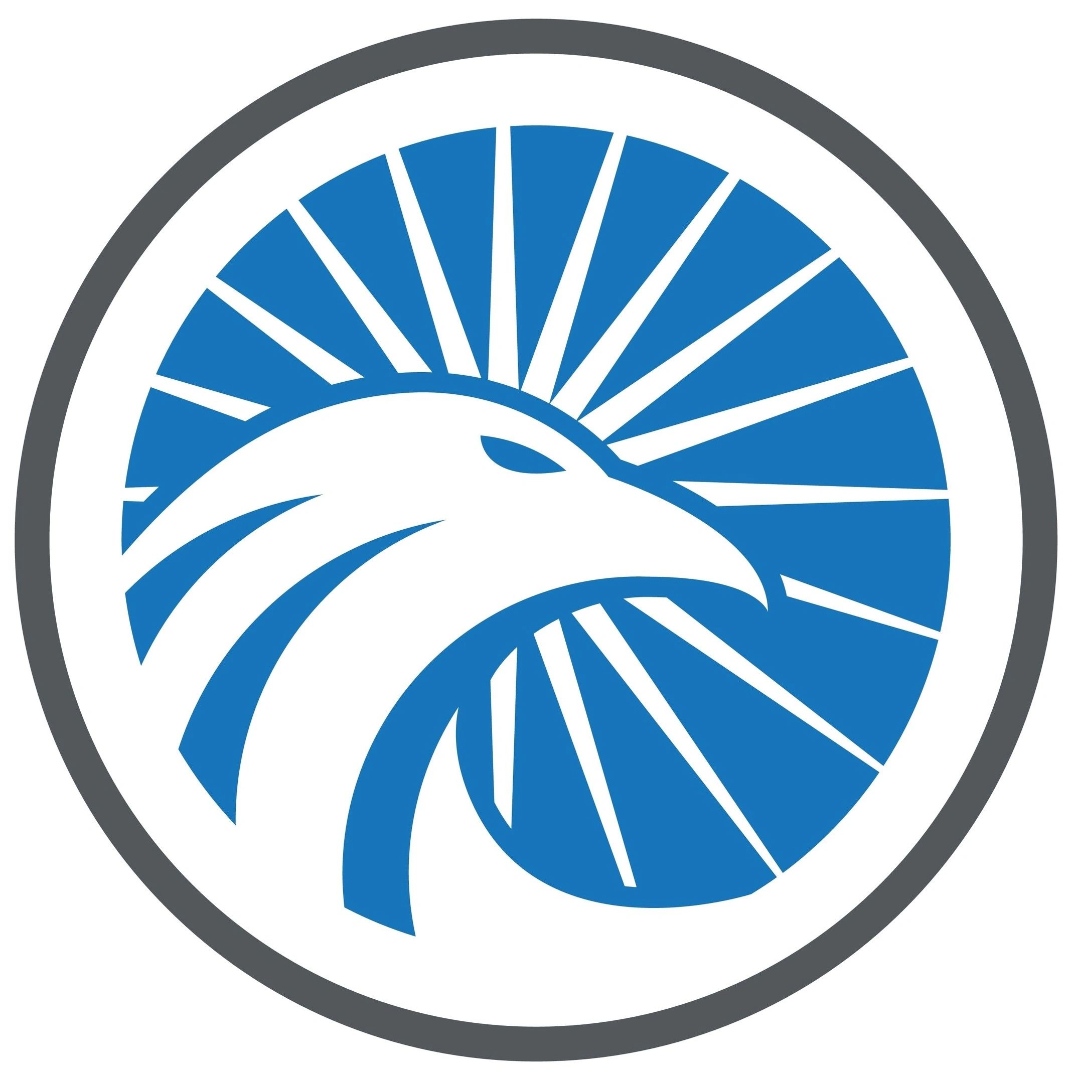 Blue Eagle Services