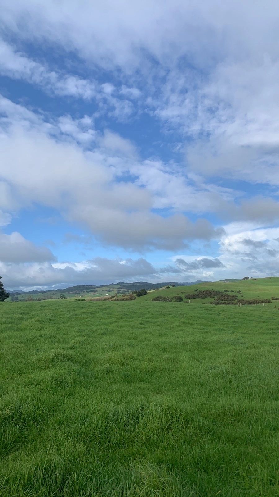 Paddock to Plate Beef | Little Creek Farm How It Works