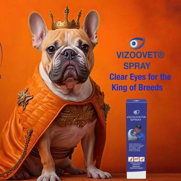 Vizoovet - Eye Drops For Dogs