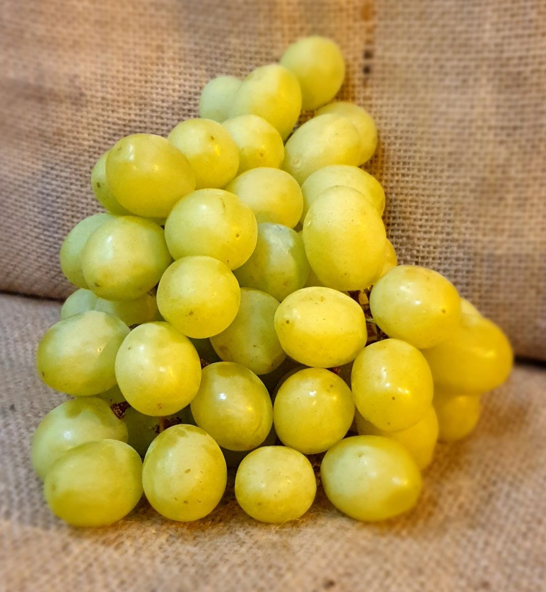 Grapes - Green 500g Punnet