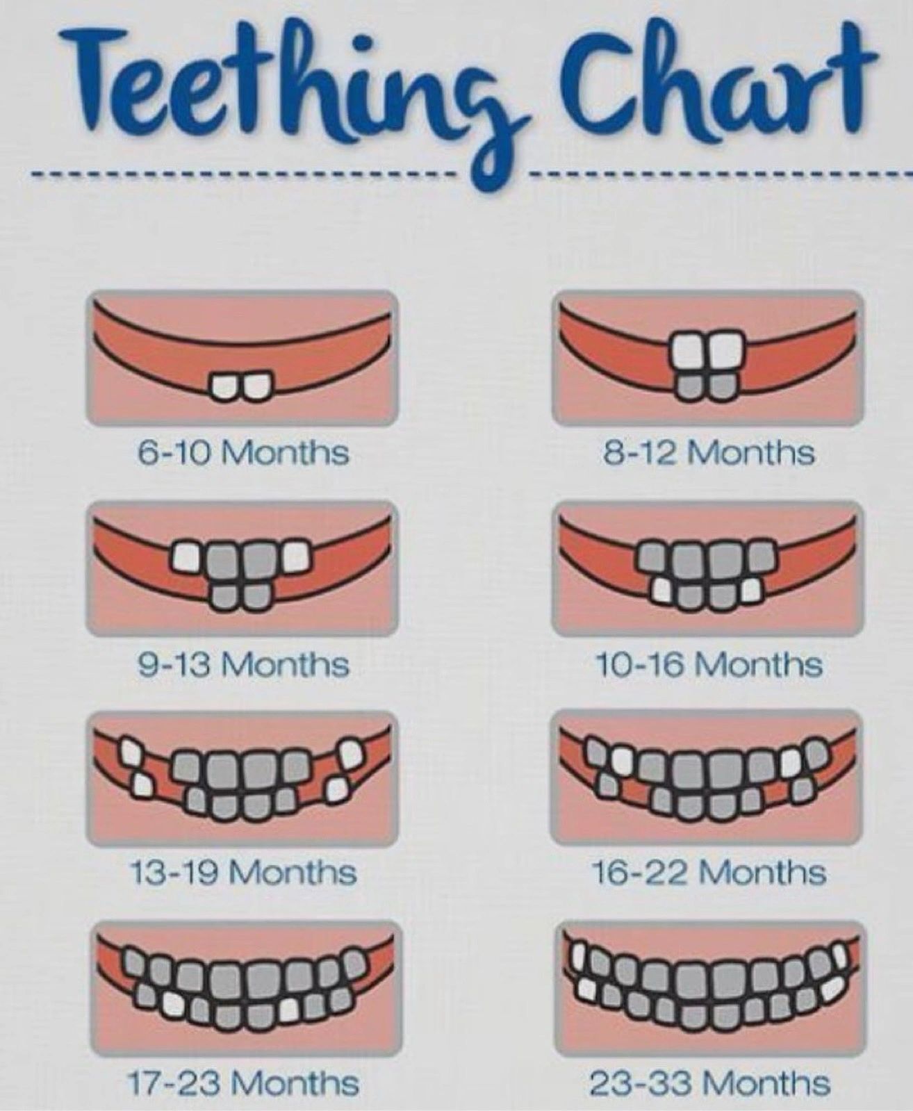 Understanding the Teeth Eruption Sequence: A Comprehensive Guide