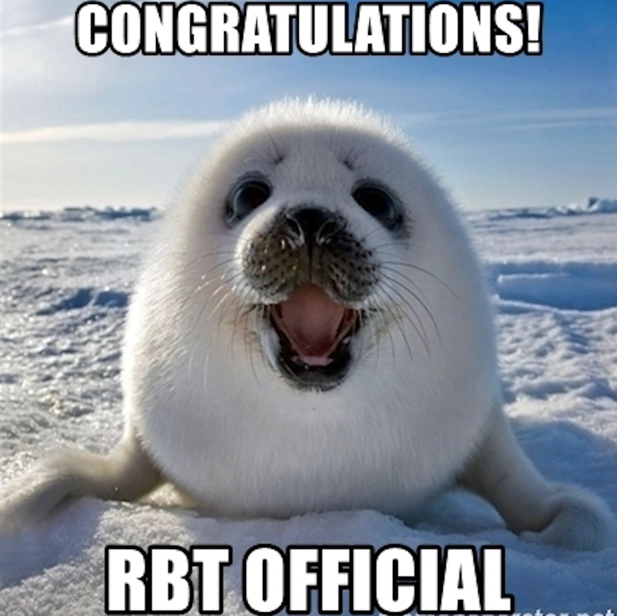 What is the fastest way to become an RBT?