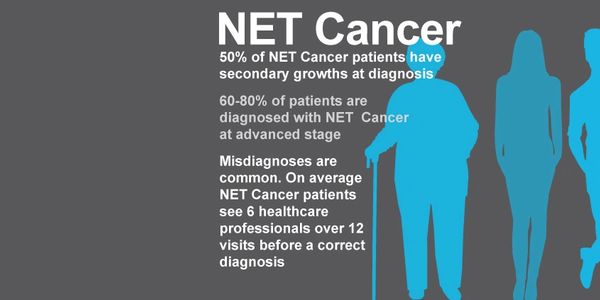 NET Cancer Foundation - Net Cancer, Nonprofit, Neuroendocrine Tumour