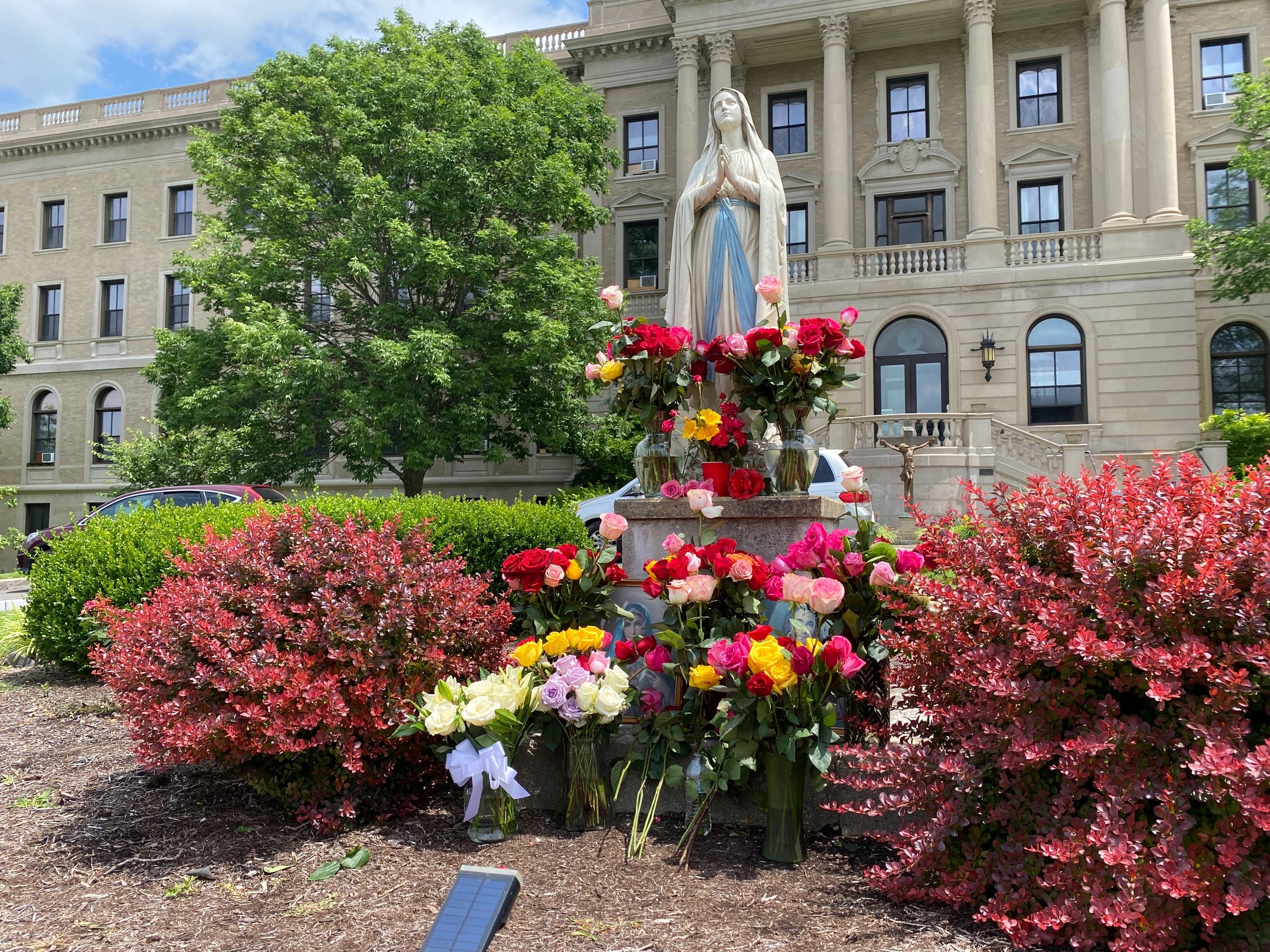 Roses For Mary - Catholic, Mary