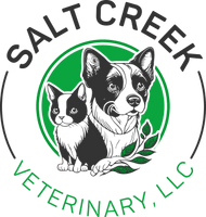 Salt Creek Veterinary