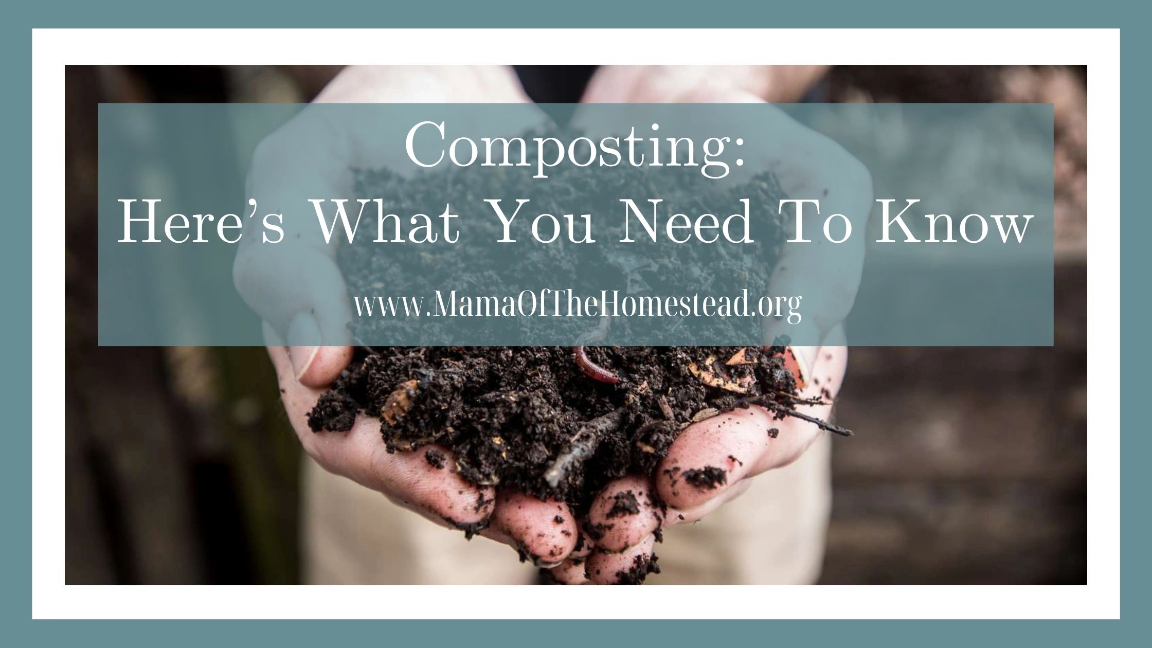 Composting: Here’s What You Need To Know