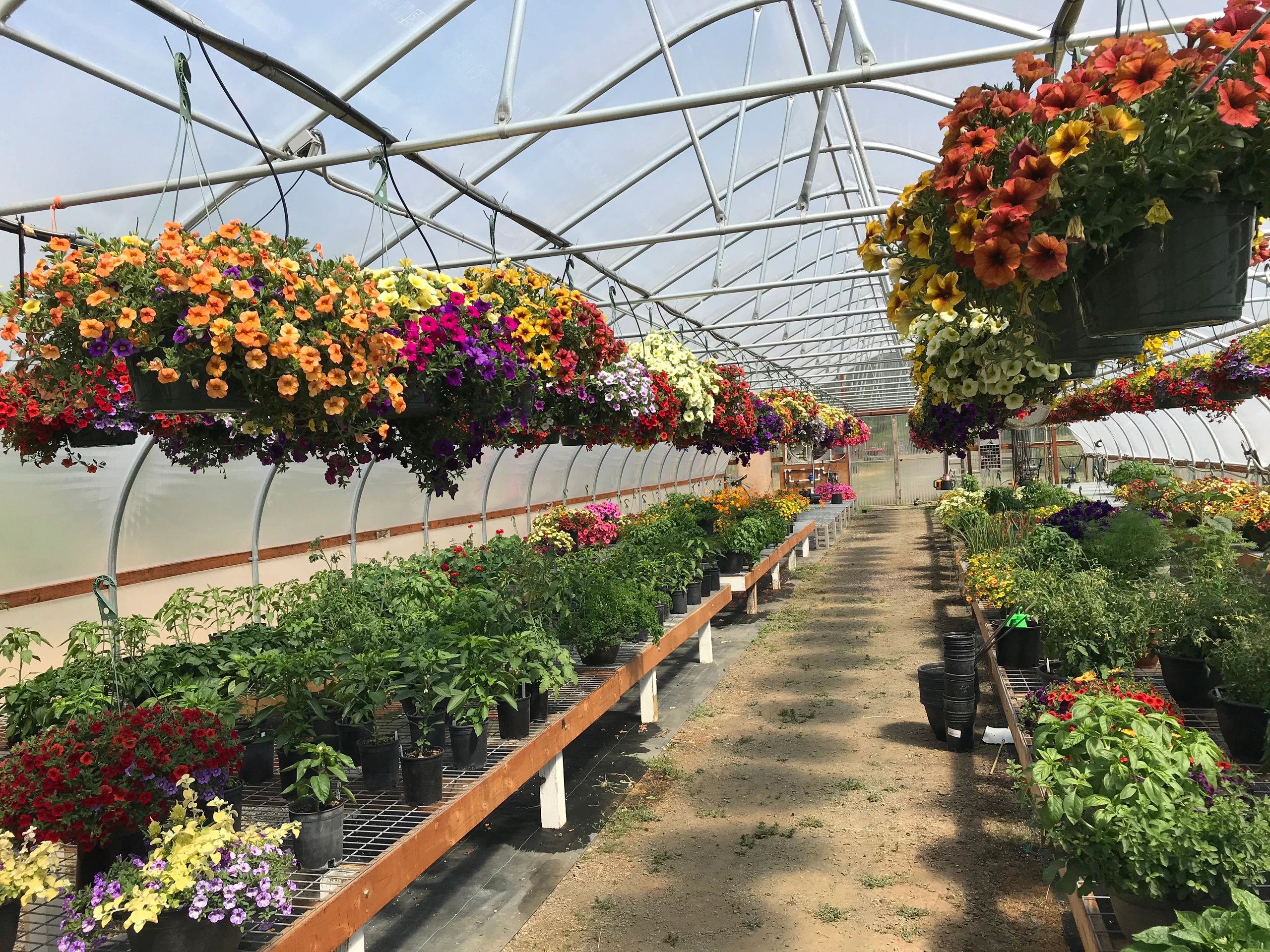 Latah Creek Nursery