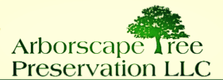 Arborscape Tree - Tree Service, Trimming Trees, Tree Removal