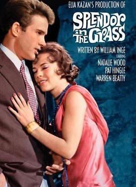 SPLENDOR IN THE GRASS (1961)