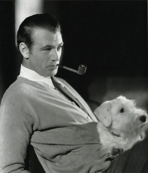 Stars and Their Pets!