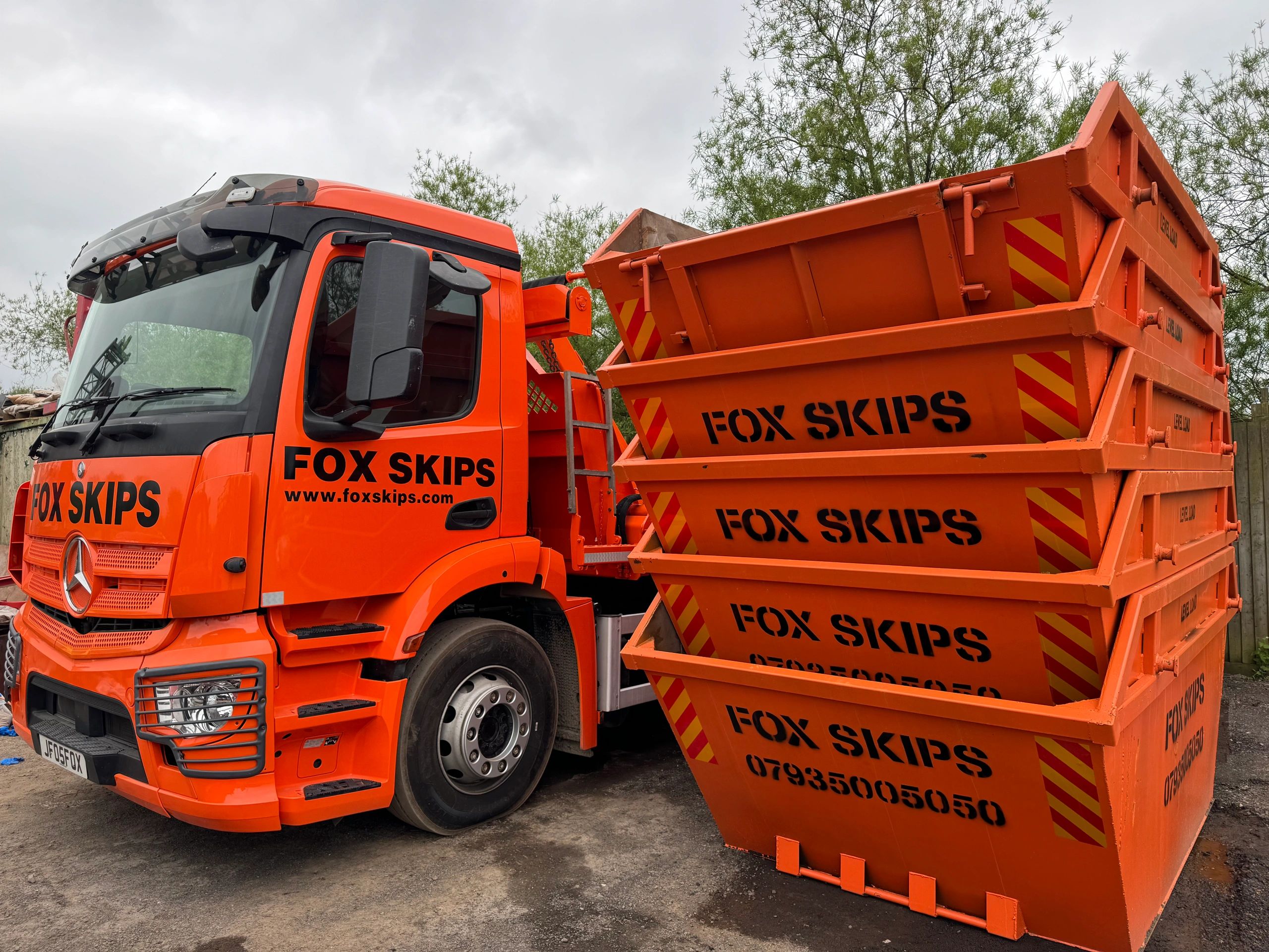Fox skips