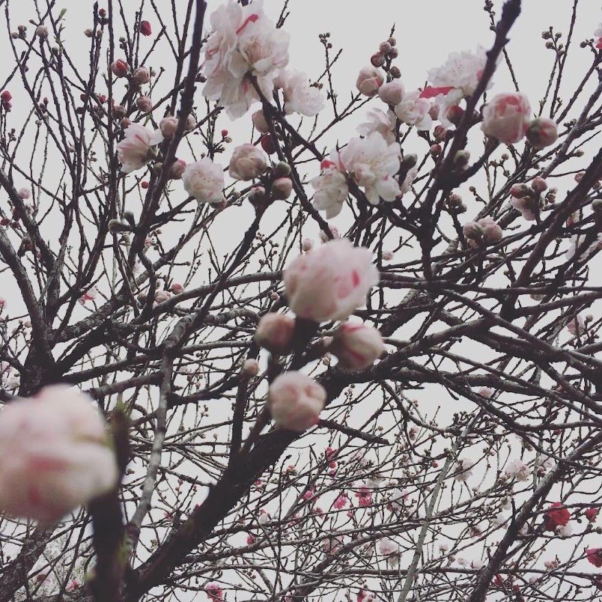 Natural Posh Vintage