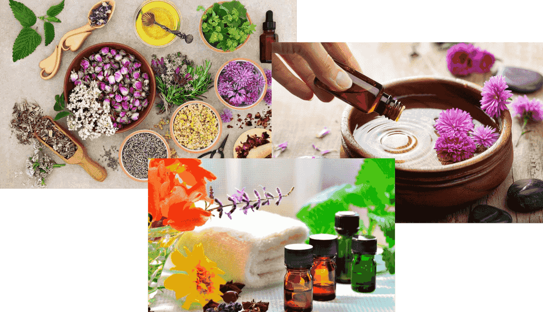 Aroma Scalp Treatment, Aromatherapy - Salon de Edmund | Salon de Edmund