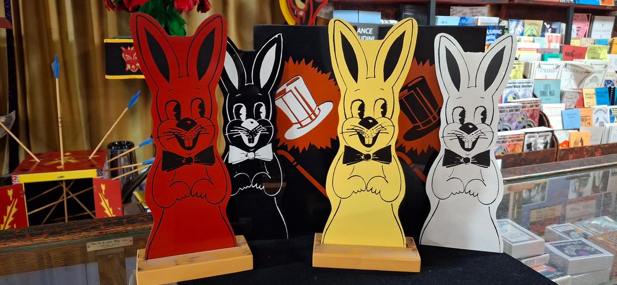 Gently Used Hippity Hop Rabbits