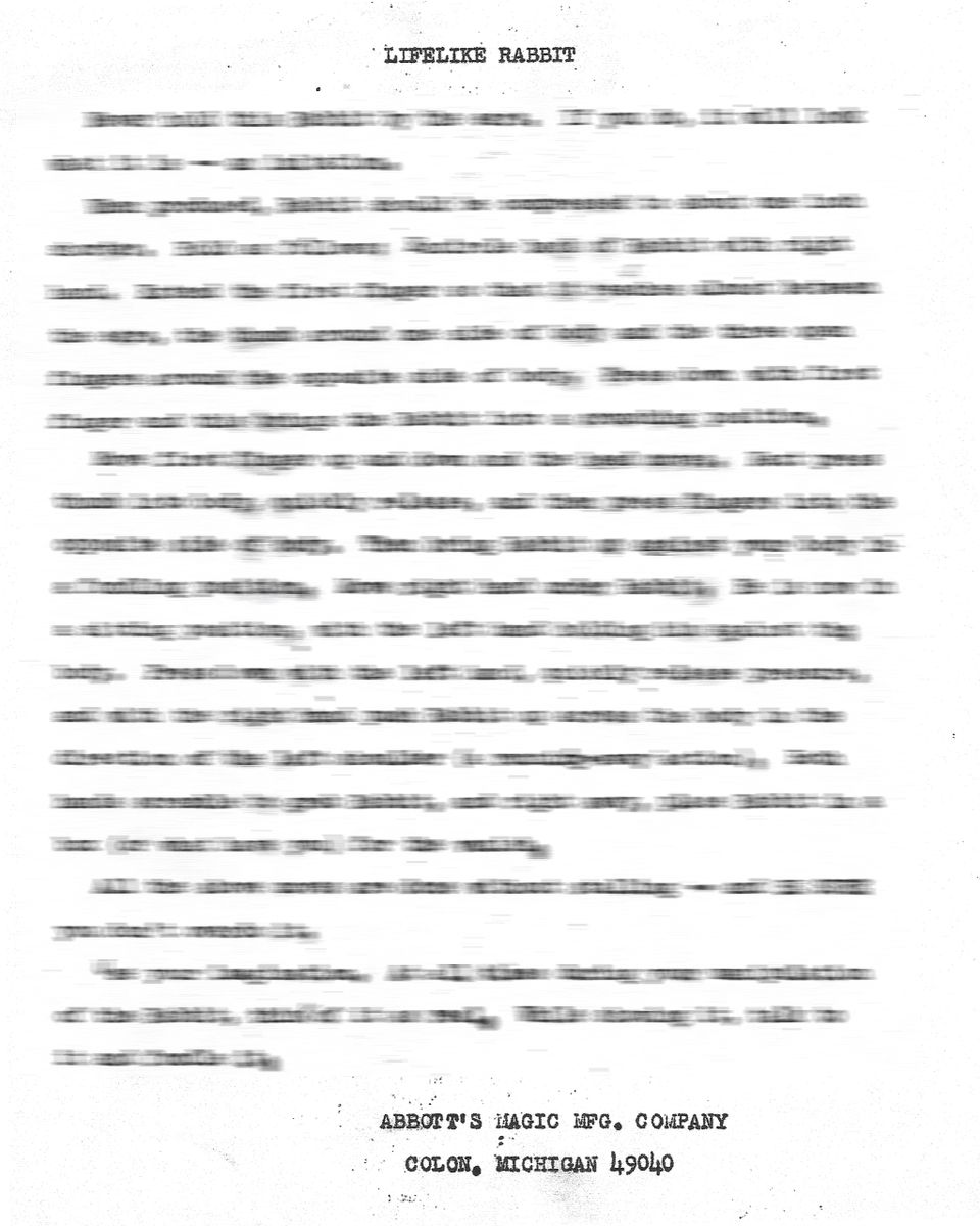 PDF Life Like Rabbitt Instructions