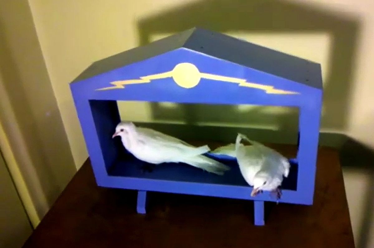 Abbott's Twin Doves In Balloon (Watch Demo)