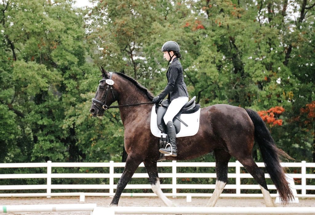 How to Develop a Confident and Relaxed Dressage Horse