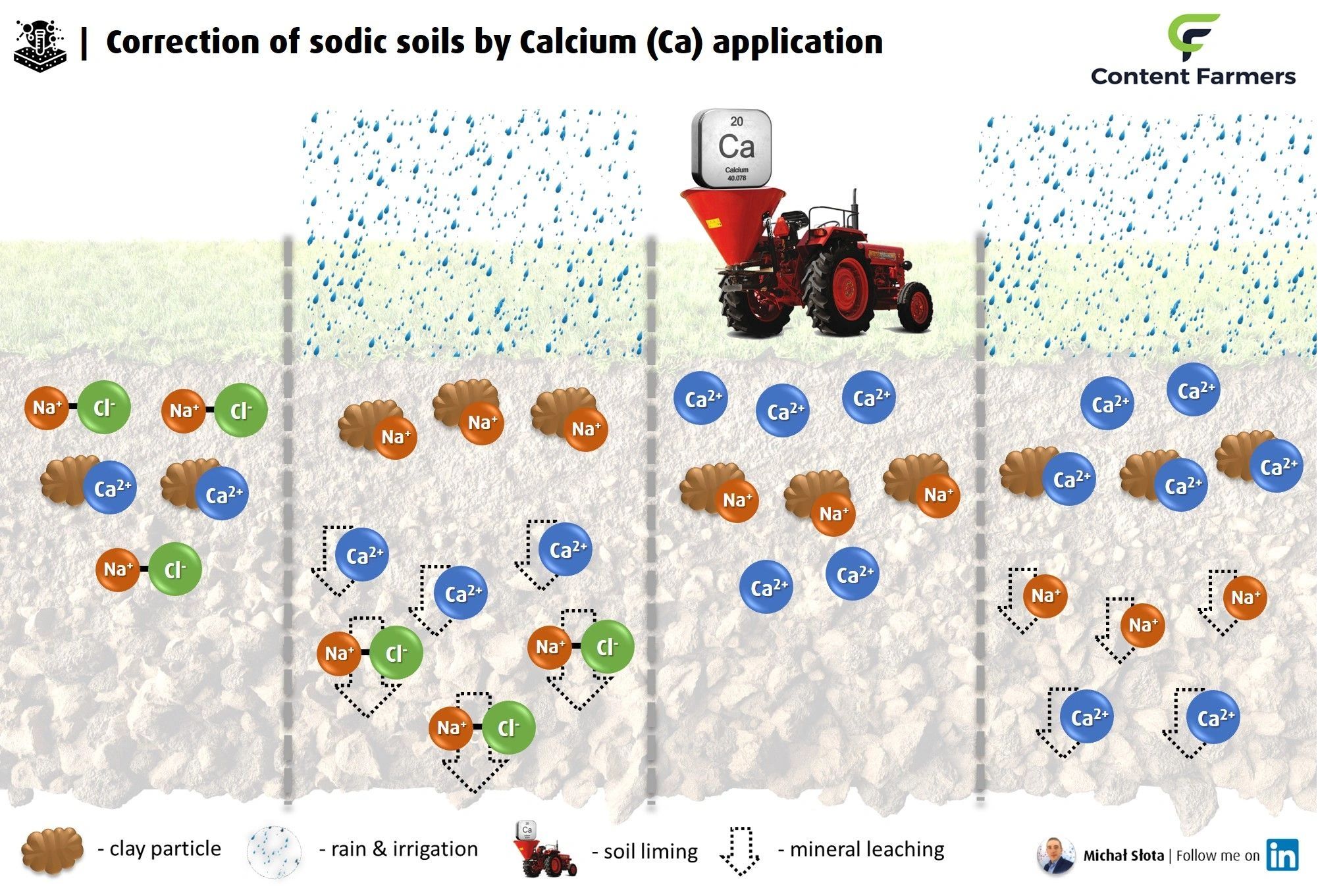The Importance of Calcium in Soil Nutrition & Crop Performance