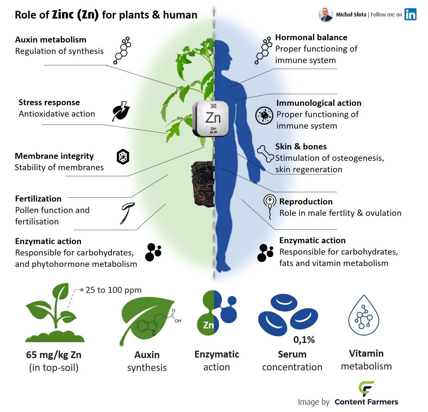The Importance of Zinc in Your Crops & You