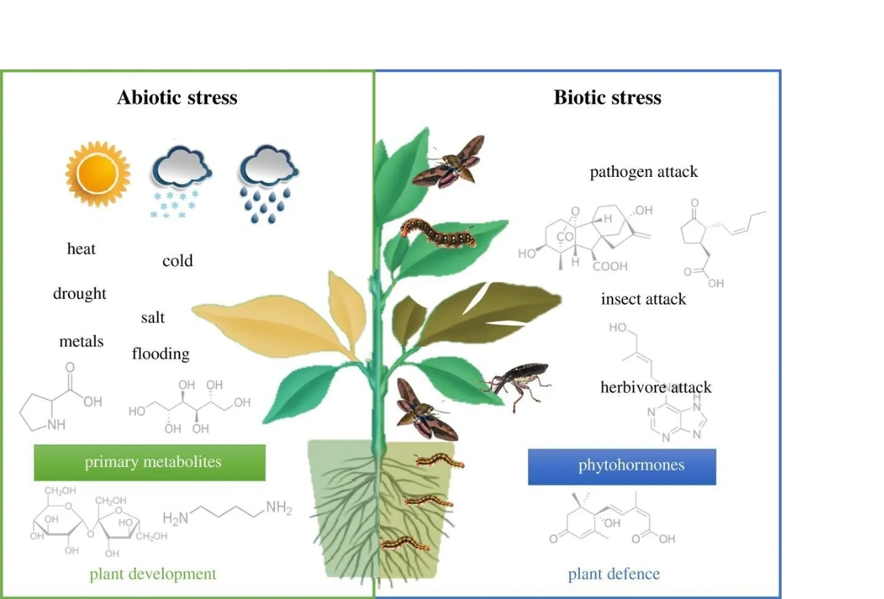 How to Combat Crop Stress