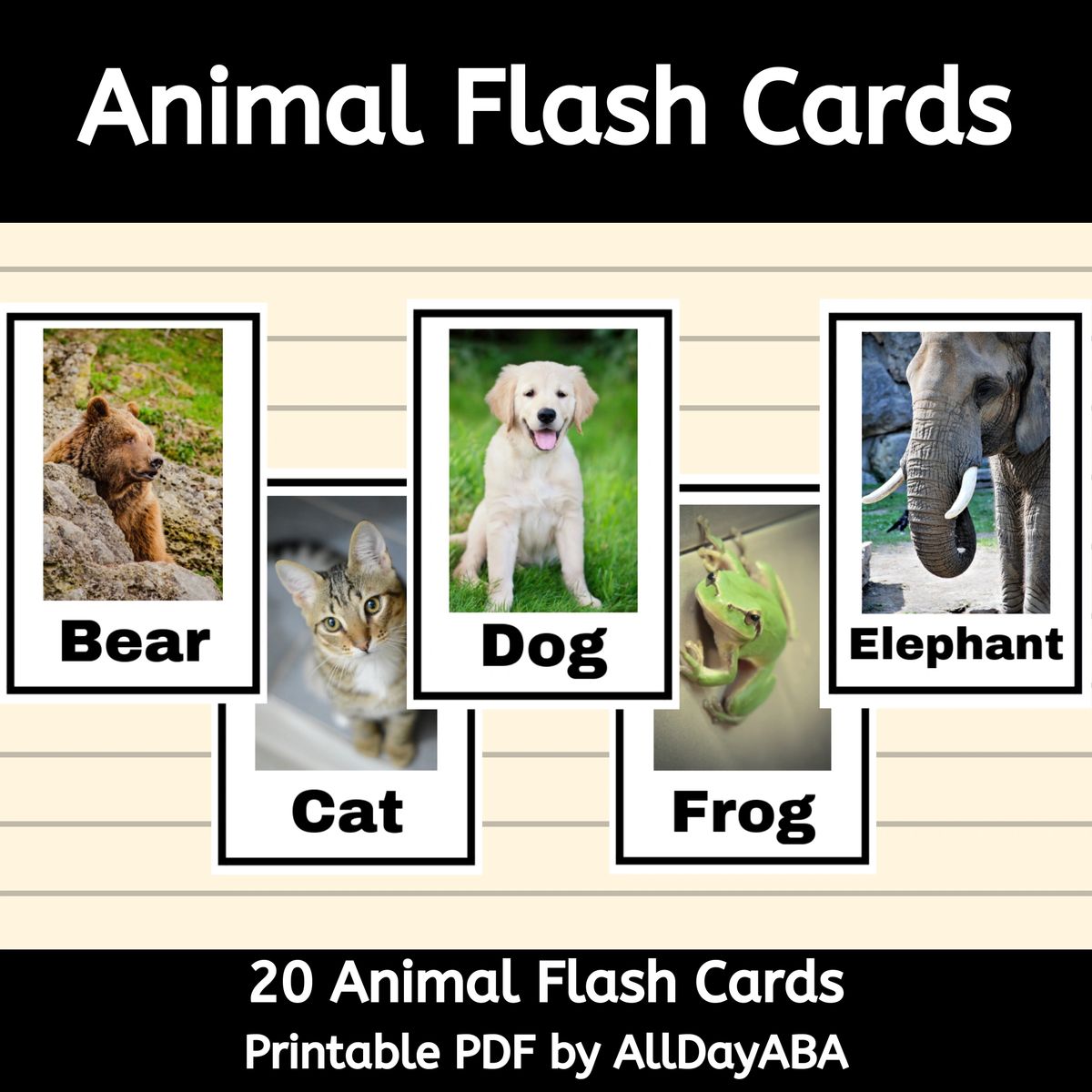 Animal Flashcards: Flash Cards of Animals for Discrete Trials ABA Therapy