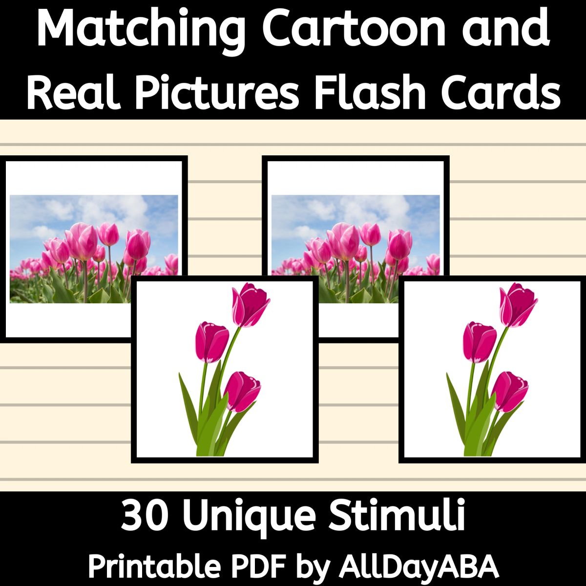 Matching Cartoon and Real Pictures Flash Cards - PEAK Direct Training ...